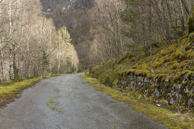 Run-down Road in Rural Landscape Stock Image - Image of nature, rural ...