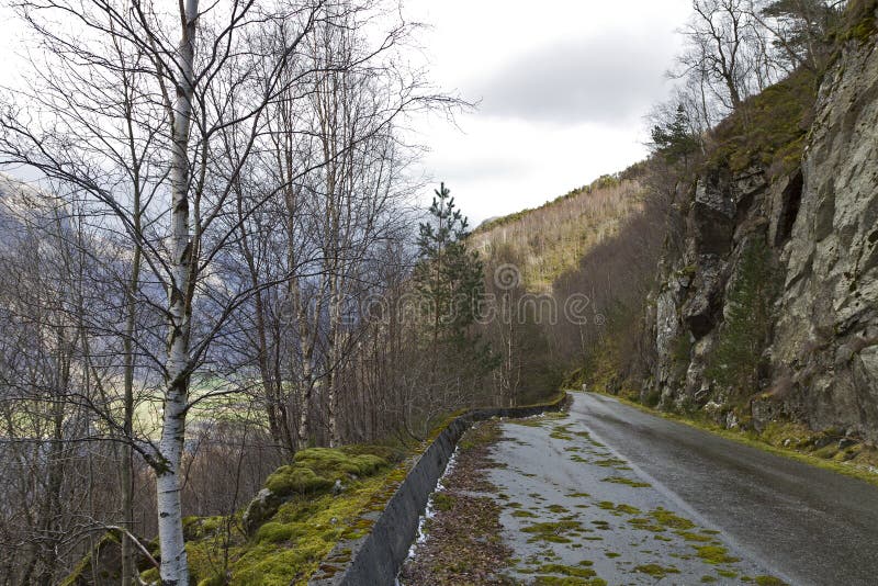 Run-down Road in Rural Landscape Stock Photo - Image of conifer, moss ...
