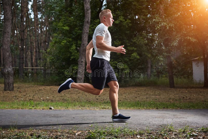 Run in the forest stock image. Image of endurance, exercise - 80213147