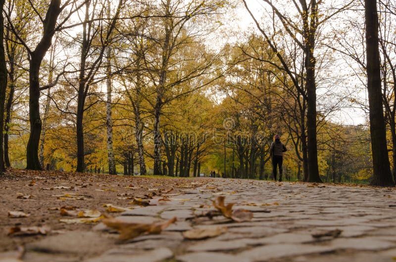 Run man stock image. Image of endurance, active, healthy - 40671289