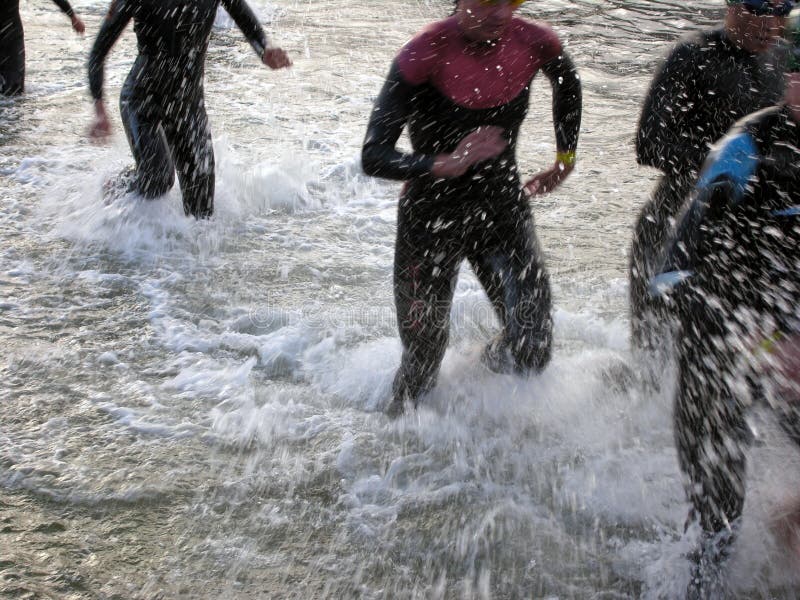 Swimmers in the sea stock photo. Image of competition - 8798796