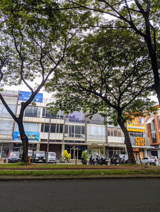 Run way sun wood green editorial image. Image of wood - 308556835