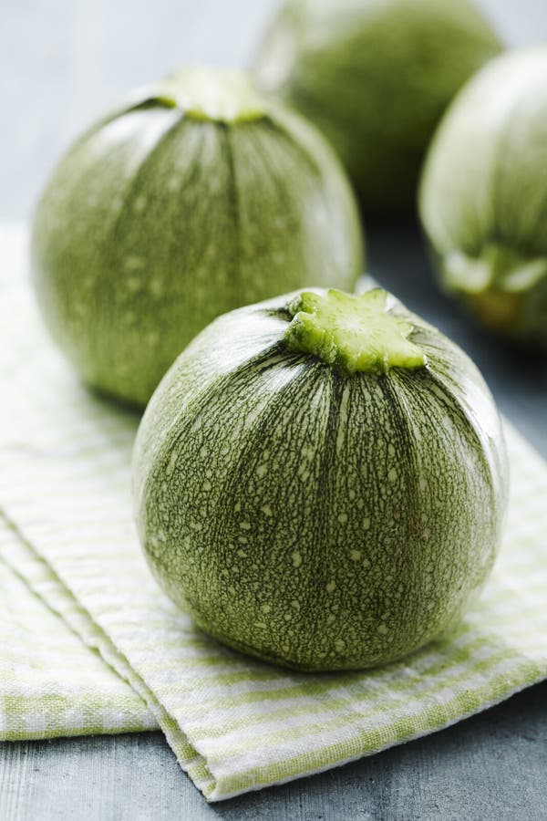 Runde Zucchini stockbild. Bild von nahaufnahme, studio - 38220705