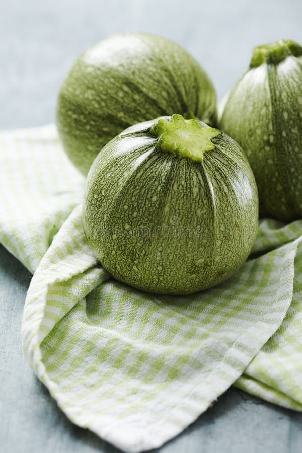 Runde Zucchini stockfoto. Bild von erzeugnis, zucchini - 38221008