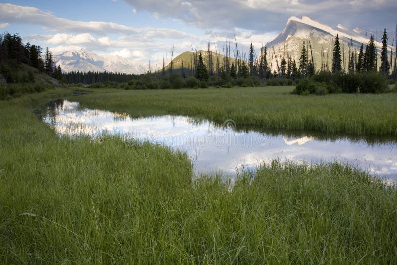 Rundle 1 stock image. Image of alberta, rundle, fenc, peak - 983045
