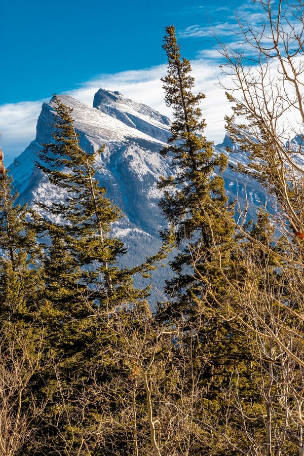 Rundle Mountain from the Roadside. Banff National Park, Alberta, Canada ...