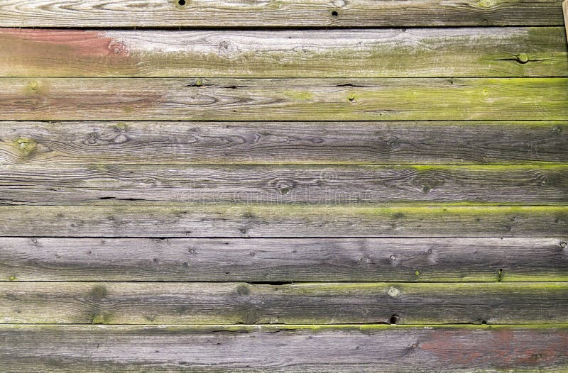 The Attached Old Rundown Bicycle in Pink Stock Photo - Image of front ...