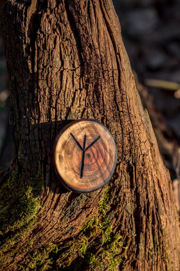 Rune of Algiz Also Elhaz Carved from Wood Stock Photo - Image of ...