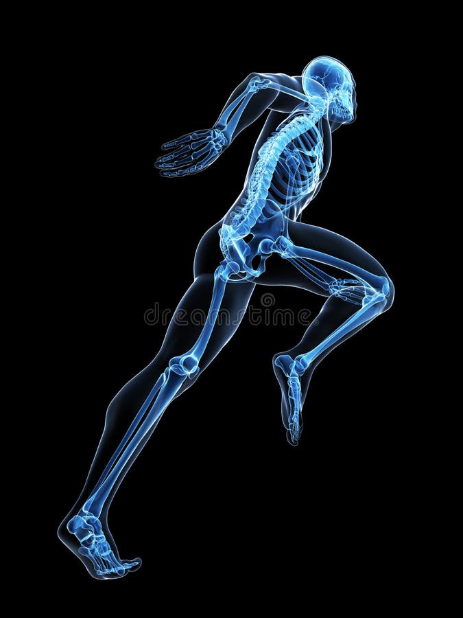 Runner anatomy stock illustration. Illustration of body - 30722759