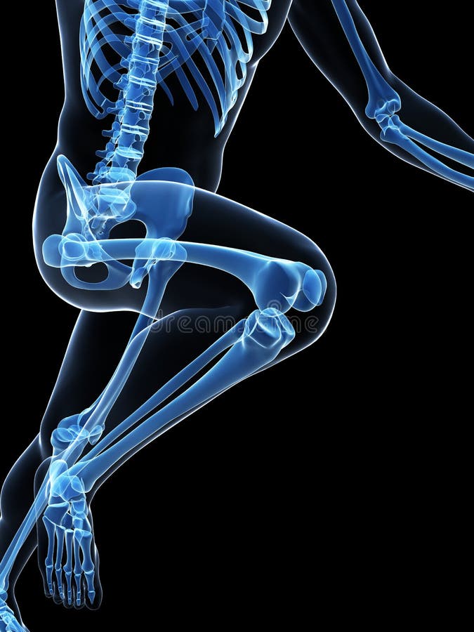Runner anatomy stock illustration. Illustration of running - 30722815