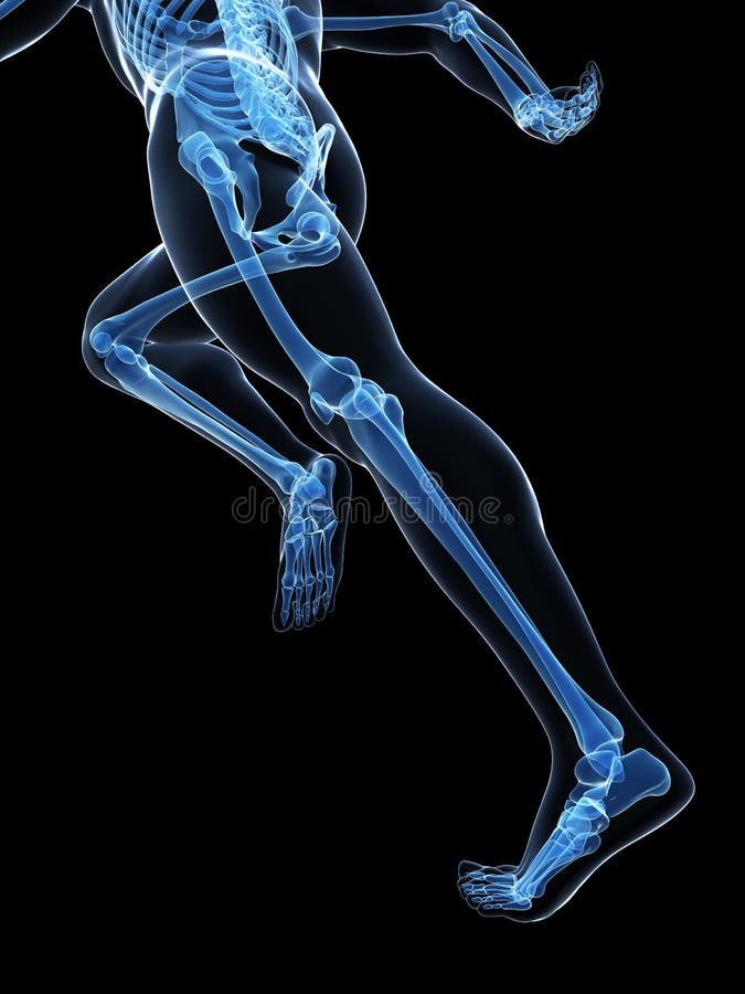 Female runner anatomy stock illustration. Illustration of pain - 39475878