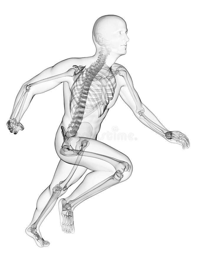 Anatomy Athlete Stock Illustrations – 6,760 Anatomy Athlete Stock ...