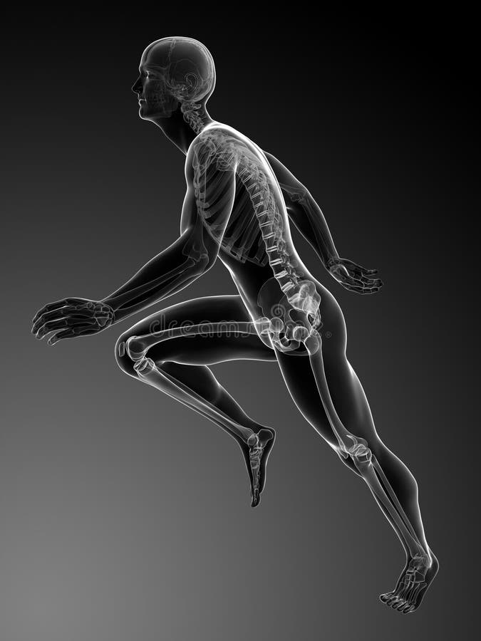 Runner anatomy stock illustration. Illustration of sports - 30722947