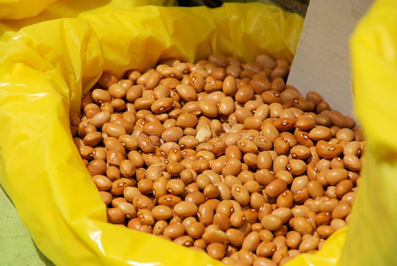 Runner bean stock photo. Image of runner, food, yellow - 13052950