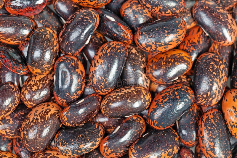 Runner beans in a closeup stock image. Image of seed - 376326677