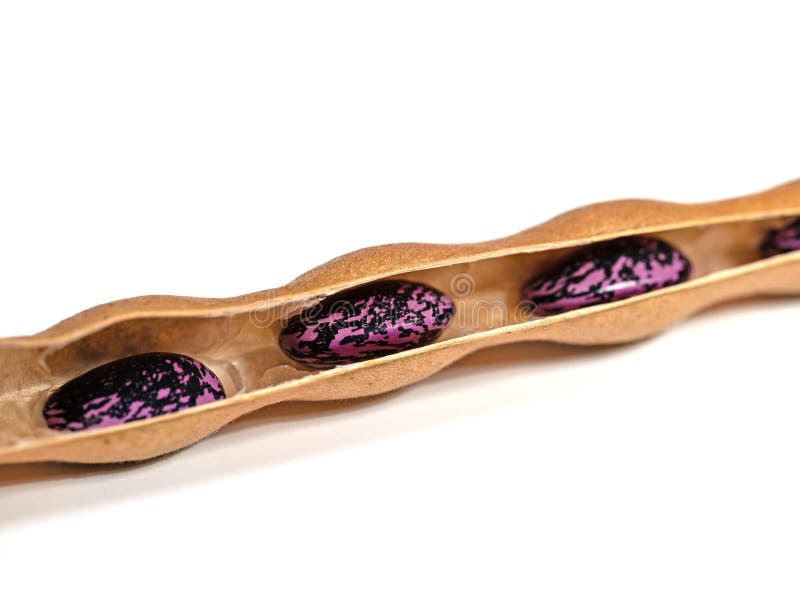 Runner Beans in Pod Against White Background Stock Image - Image of ...