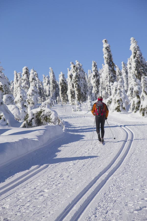 Runner-country Skiing in the Winter Landscape. Stock Image - Image of ...