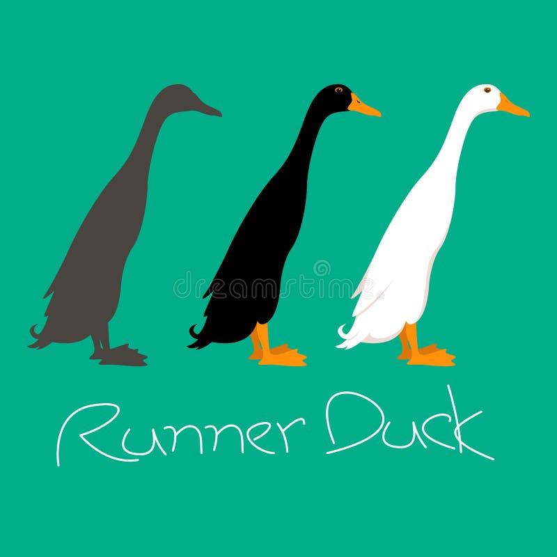 Runner Duck Vector Illustration Style Flat Side Stock Vector ...
