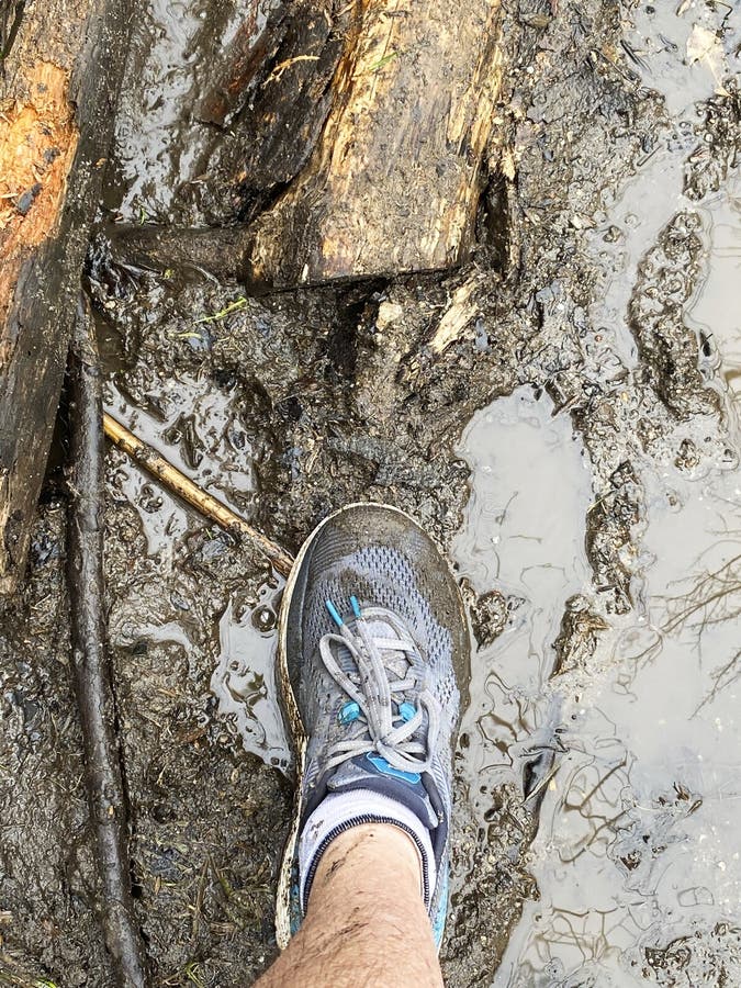 Runners Shoe in Mud on a Trail in the Woods Stock Photo - Image of foot ...