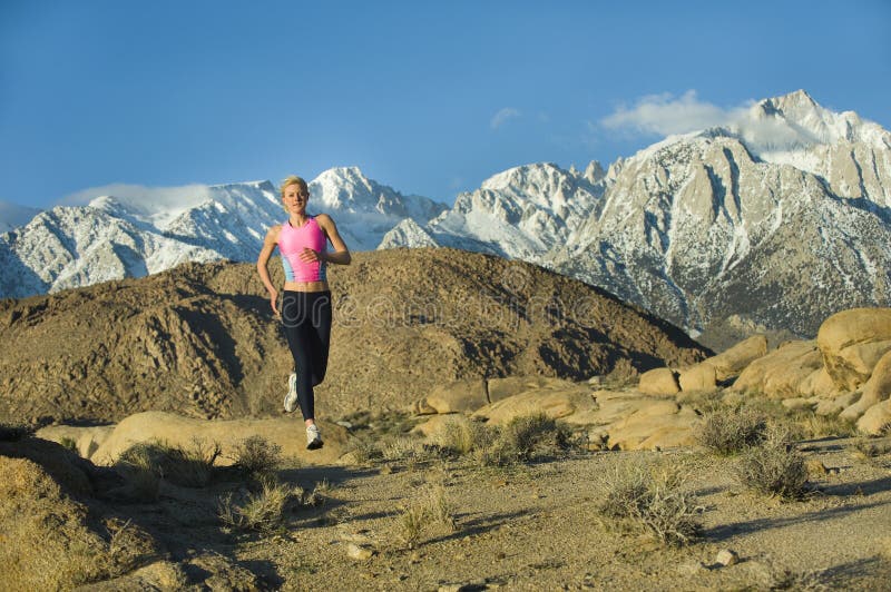 Reindeer on road stock photo. Image of roadside, wiper - 1299376