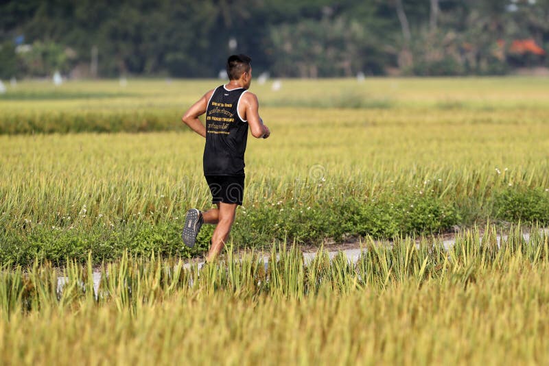 Daily life in Asia editorial stock image. Image of agriculture - 258099824