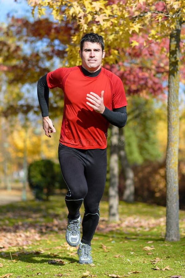 Runner in park stock image. Image of determination, outdoors - 27932187