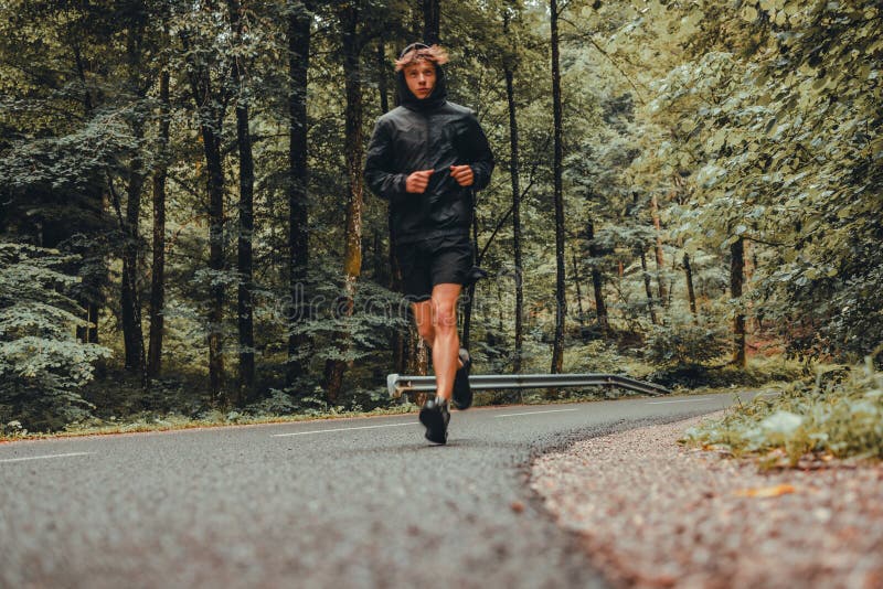 Runner on a Peaceful Forest Road Stock Image - Image of workout, tree ...