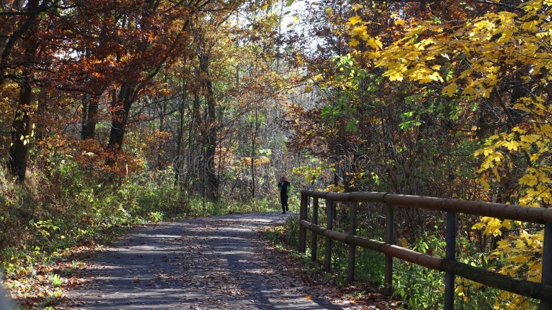 Runner Running on the Path in Autumn Nature Stock Footage - Video of ...