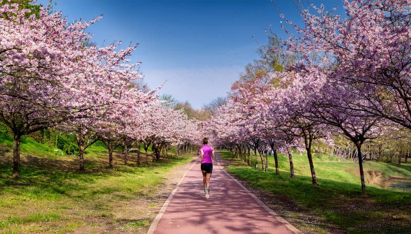 A Runner S Path through a Blooming Park, Symbolizing Women S Progress ...