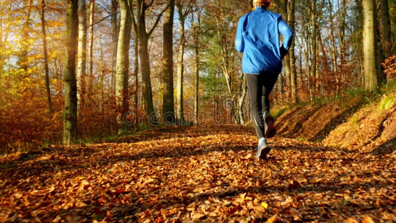 Runner on a Sunny Forest Path in Fall Stock Video - Video of landscape ...