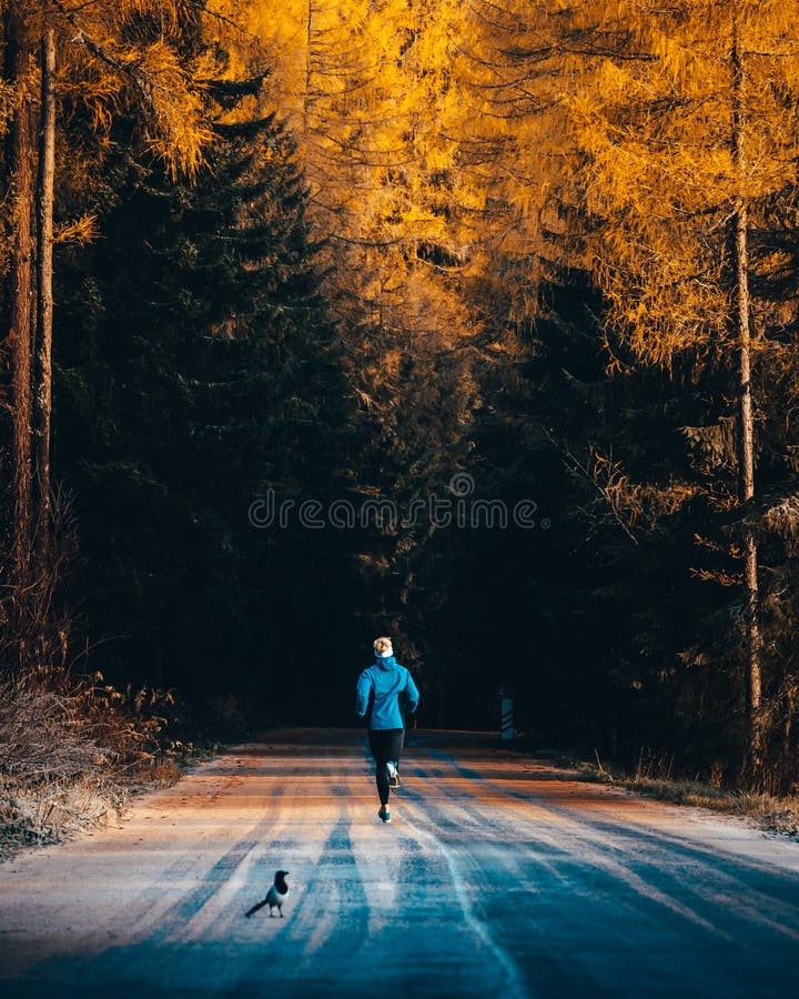Runner in Beautiful Colorful Autumn Nature Stock Image - Image of ...