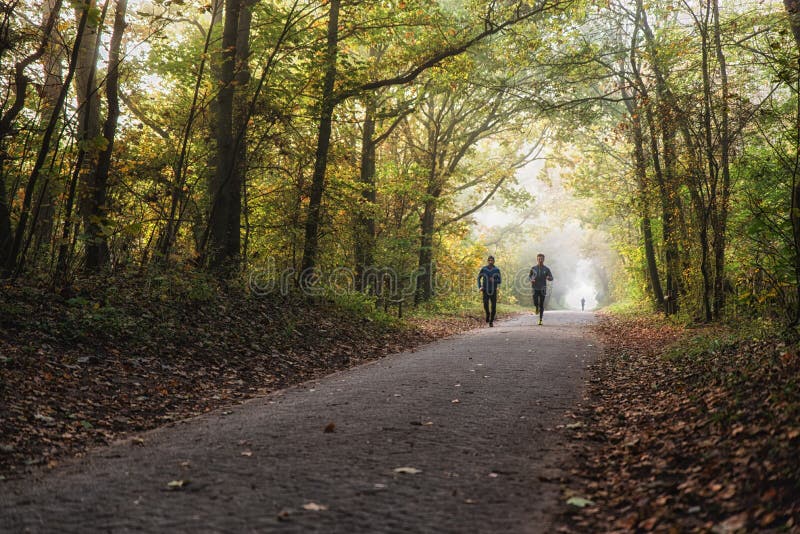 Runners in the forest editorial photo. Image of leisure - 84243796