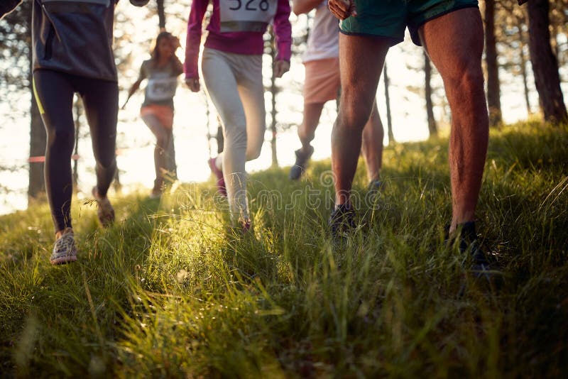 Runners Running Fast through the Forest on Trail Marathon Run Stock ...