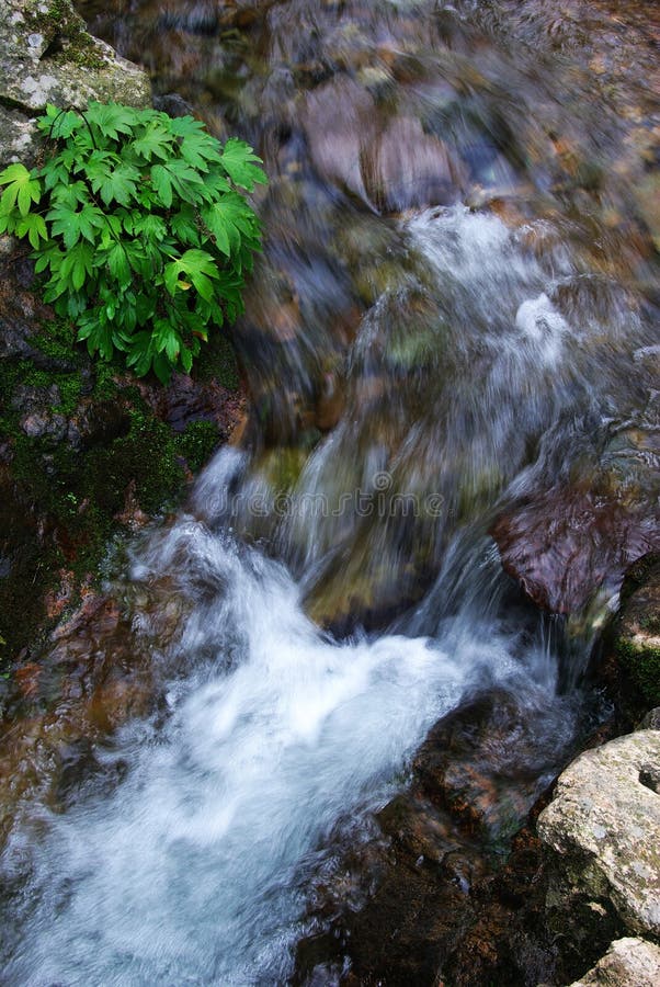 Running brook stock photo. Image of chinese, river, water - 8322100