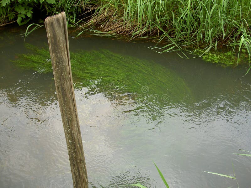 Running Brook in Vermont stock photo. Image of landscape - 17705070