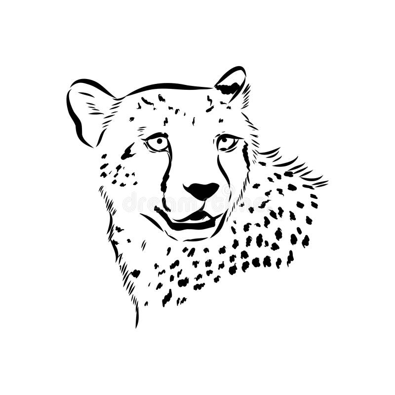 Running Cheetah Drawn with Ink on White Background Logo Tattoo Stock ...
