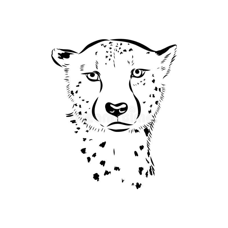 Running Cheetah Drawn with Ink on White Background Logo Tattoo Stock ...
