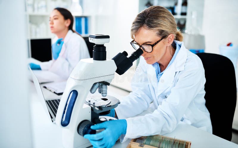 Science Has a Big Role and Function for the Benefit of Society ...