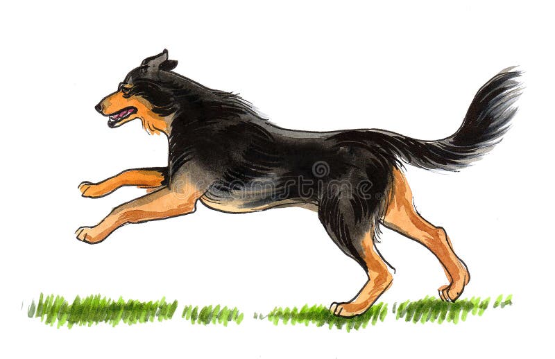 Running dog stock photo. Image of running, canine, cartoon - 209146590