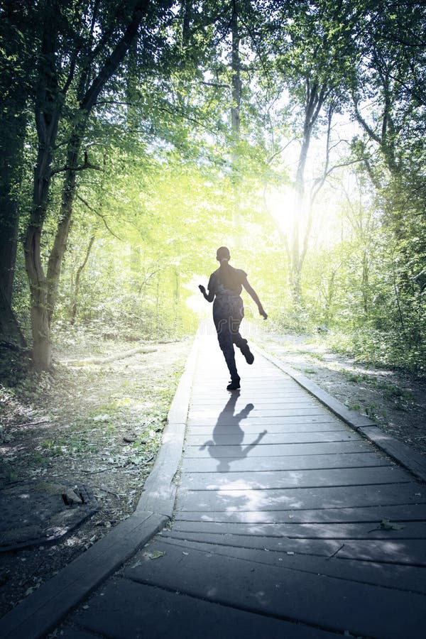 5,185 Sunlit Nature Path Stock Photos - Free & Royalty-Free Stock ...