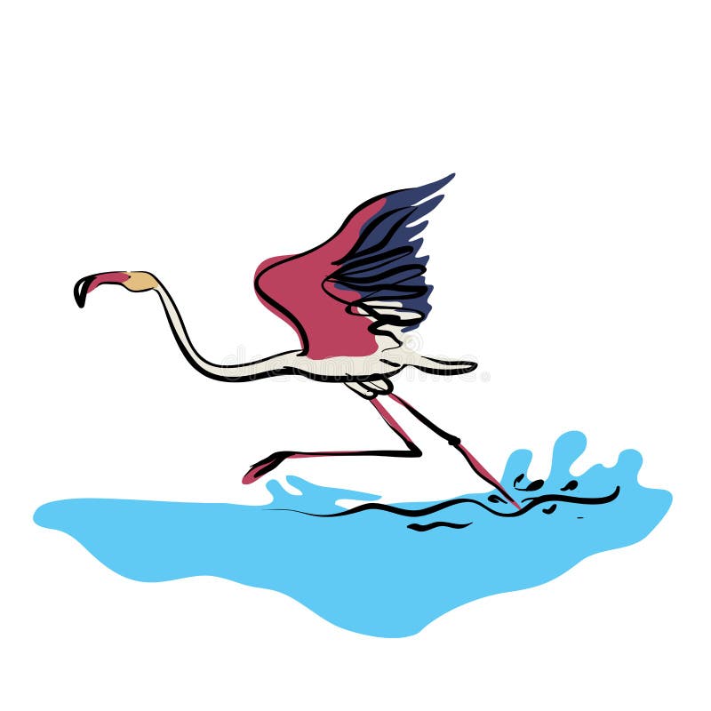 Running Flamingo Vector Illustration Stock Vector - Illustration of ...