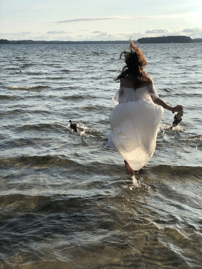 Running follow duck stock image. Image of duck, lake - 138585745