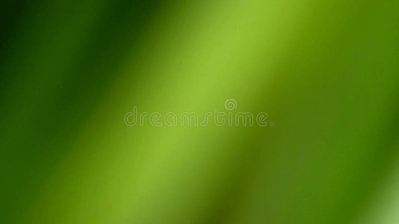 Man Running on Green Screen Background, Slow Motion. Back View Stock ...