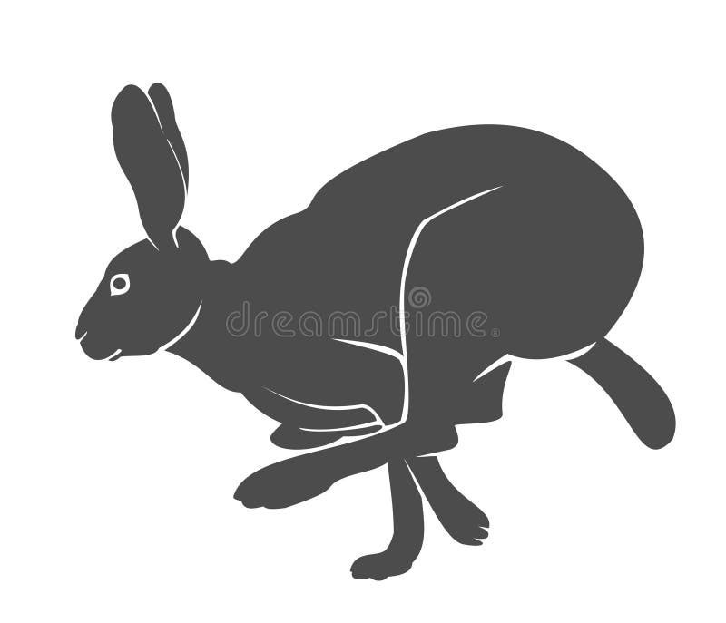 Running hare stock vector. Illustration of white, frightened - 11979096