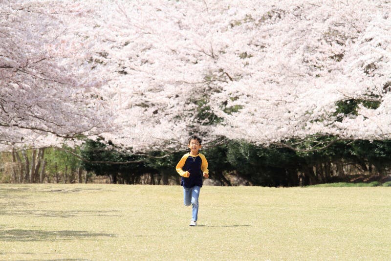 Running Japanese Boy and Cherry Blossoms Stock Image - Image of jogging ...