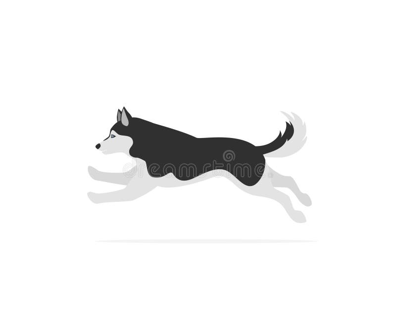 Running Jumping Husky Isolated Vector Stock Vector - Illustration of ...
