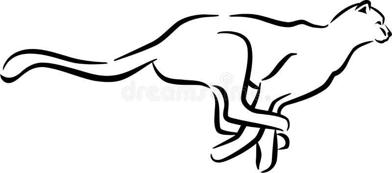 Running leopard hand drawn stock vector. Illustration of icon - 107178004