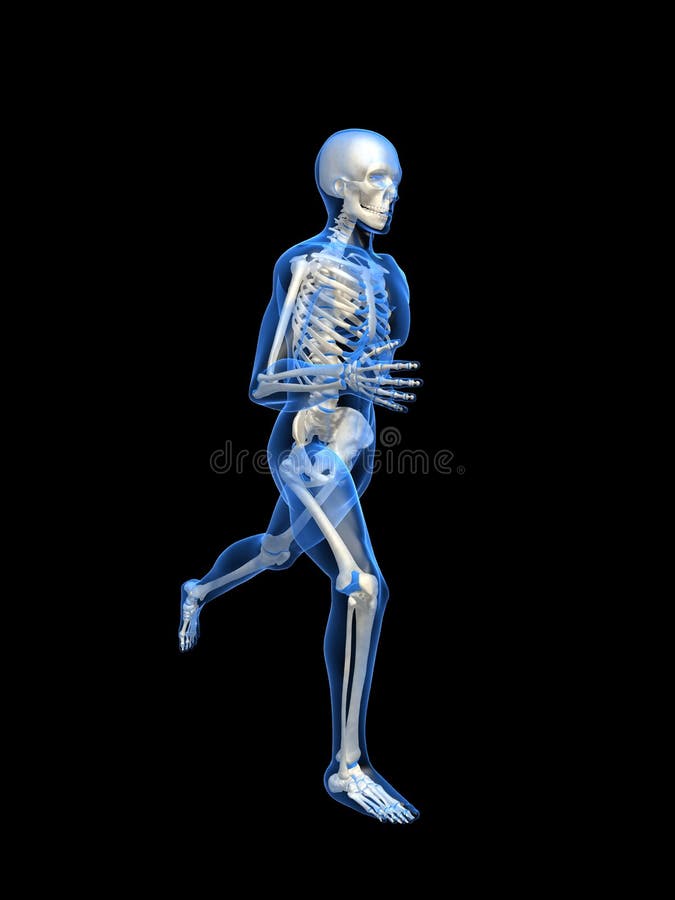 Running man anatomy stock illustration. Illustration of radiation - 2807855