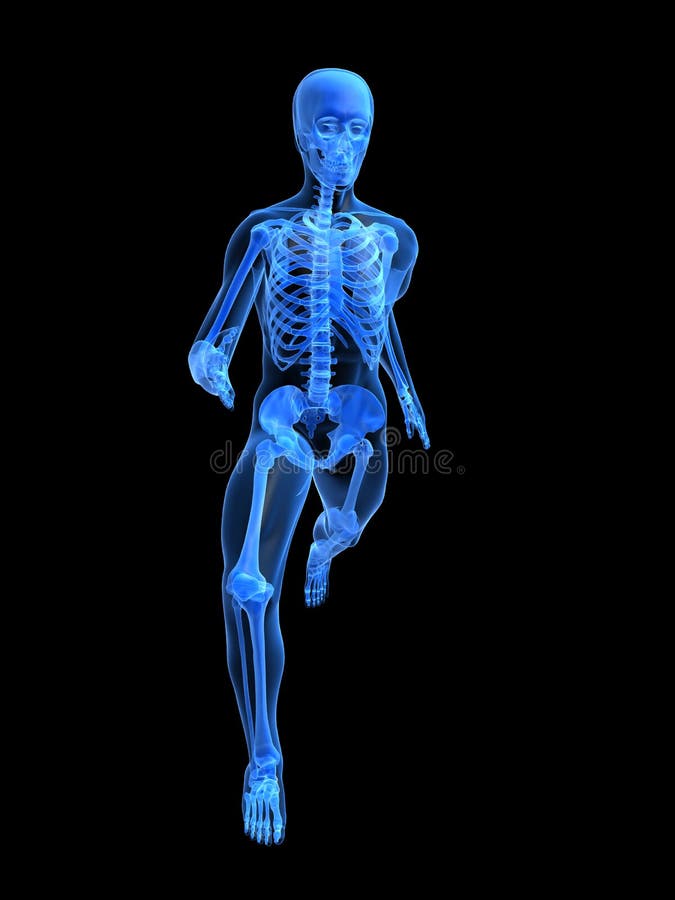 Running man anatomy stock illustration. Illustration of male - 2807864