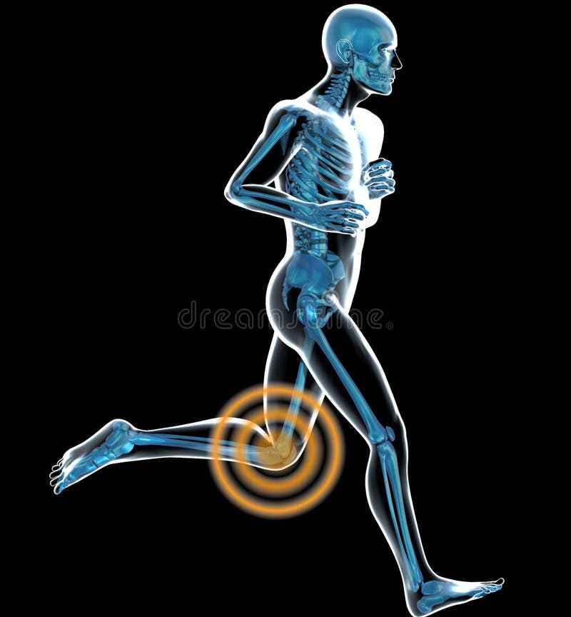 Muscle man running study stock illustration. Illustration of bone ...